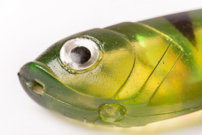 125 Catfish Bite Stock Photos - Free & Royalty-Free Stock Photos from ...