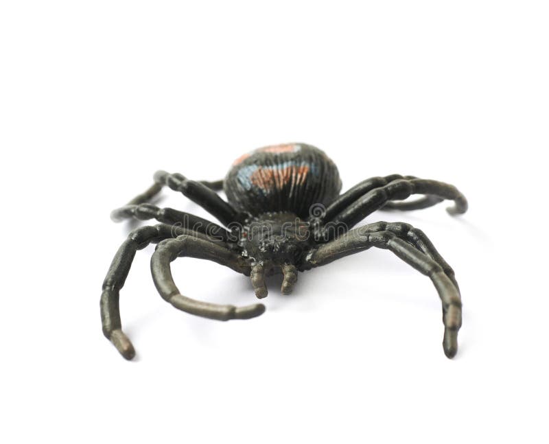 Fake Rubber Spider Toy Isolated Stock Image - Image of white, spooky ...