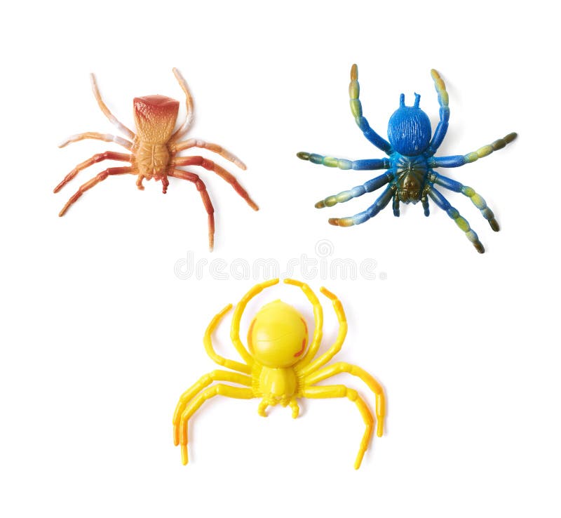Fake Rubber Spider Toy Isolated Stock Illustration - Illustration of ...