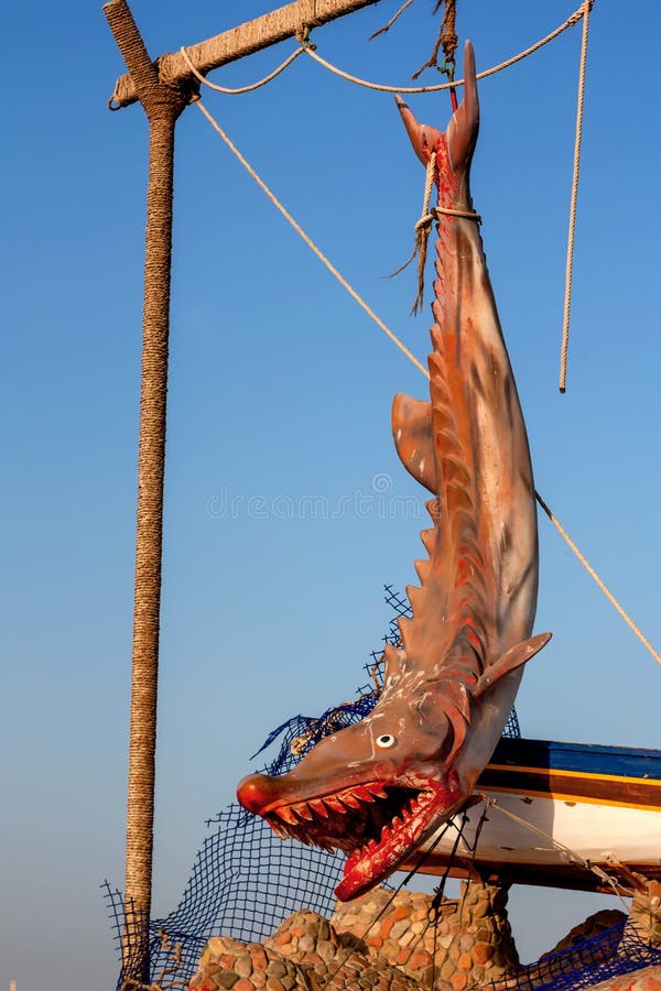 Fake Shark Toy Drifting in Clear Water Stock Photo - Image of resort ...