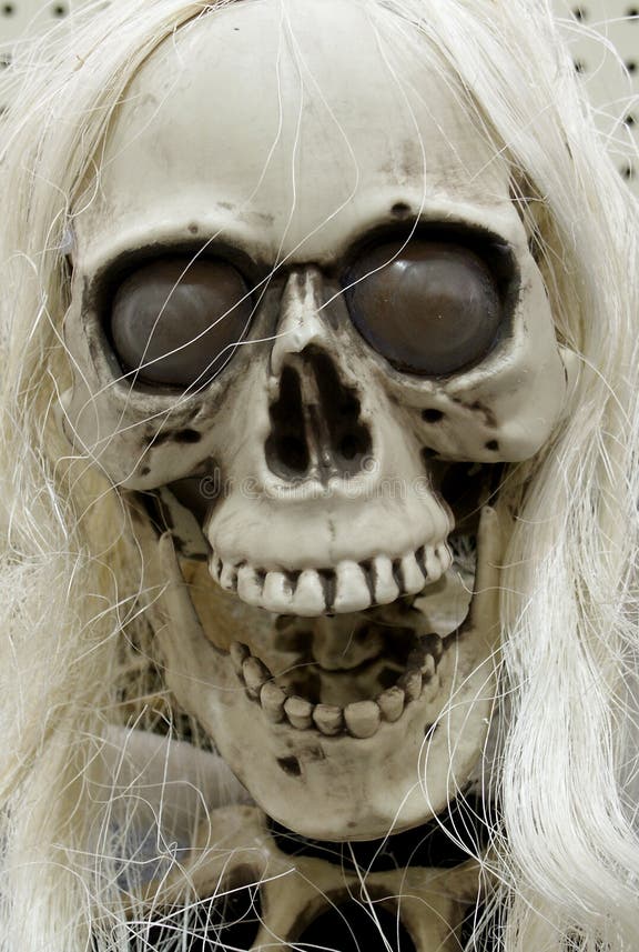 Fake skull stock photo. Image of artificial, fright, anatomy - 11095232