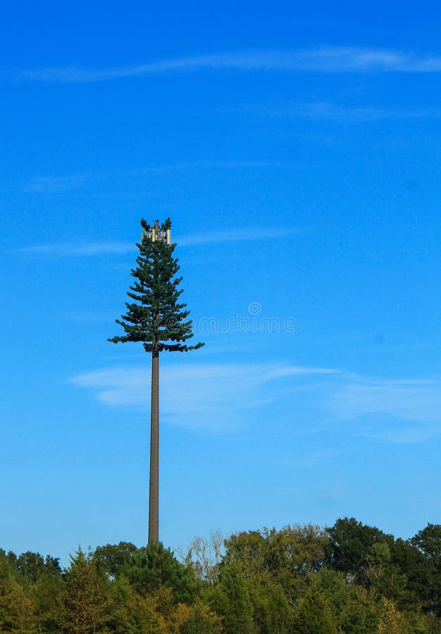 Fake Tree-Cell Tower in NC stock photo. Image of laugh - 45948150