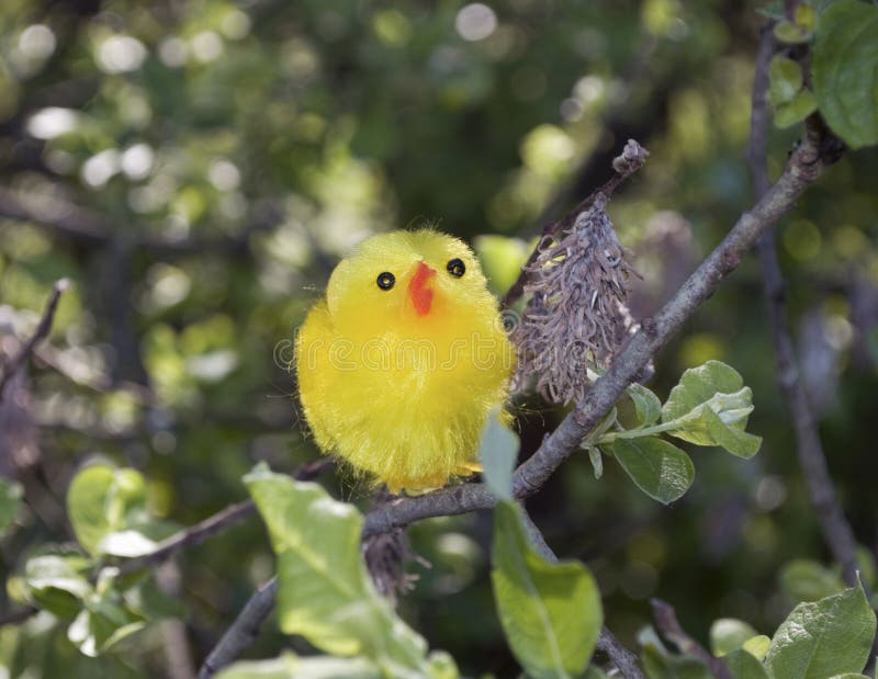 Fake yellow bird stock photo. Image of bird, baby, bizarre - 43704736