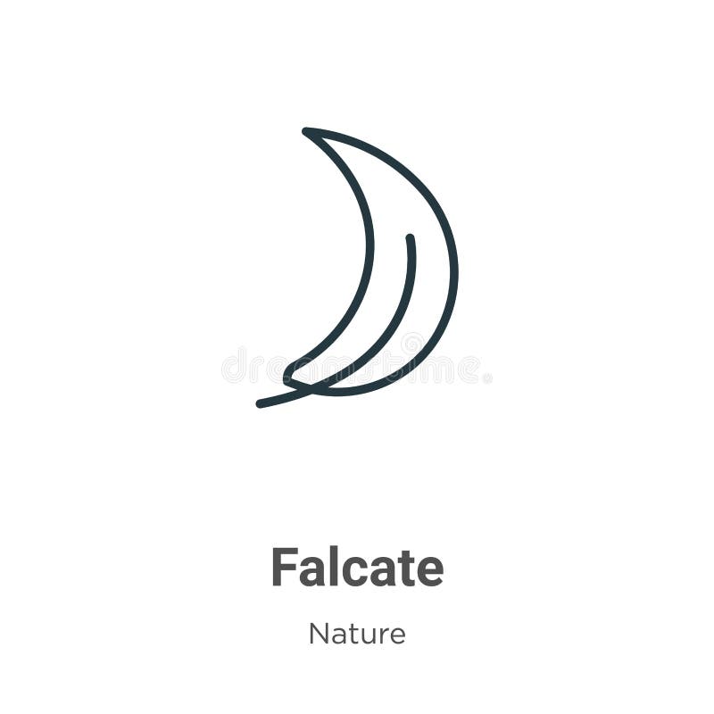 Falcate Stock Illustrations – 92 Falcate Stock Illustrations, Vectors ...