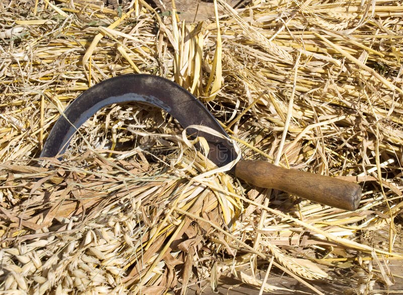 Pacco e falce del grano immagine stock. Immagine di raccolta - 56673923