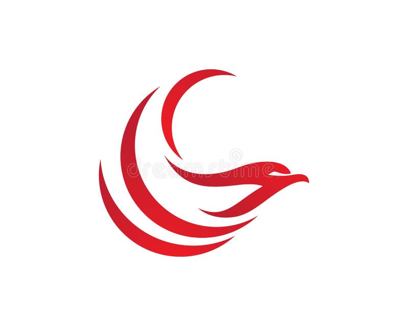 Falco Eagle Bird Logo Template Illustrazione Vettoriale - Illustrazione ...