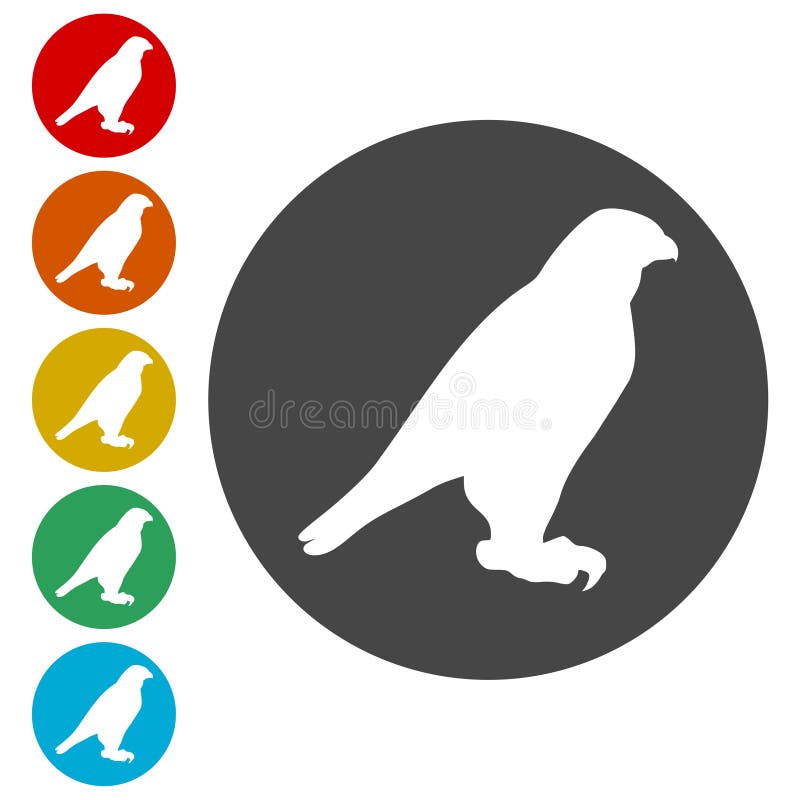 Falcon bird icons set stock vector. Illustration of kite - 164843819