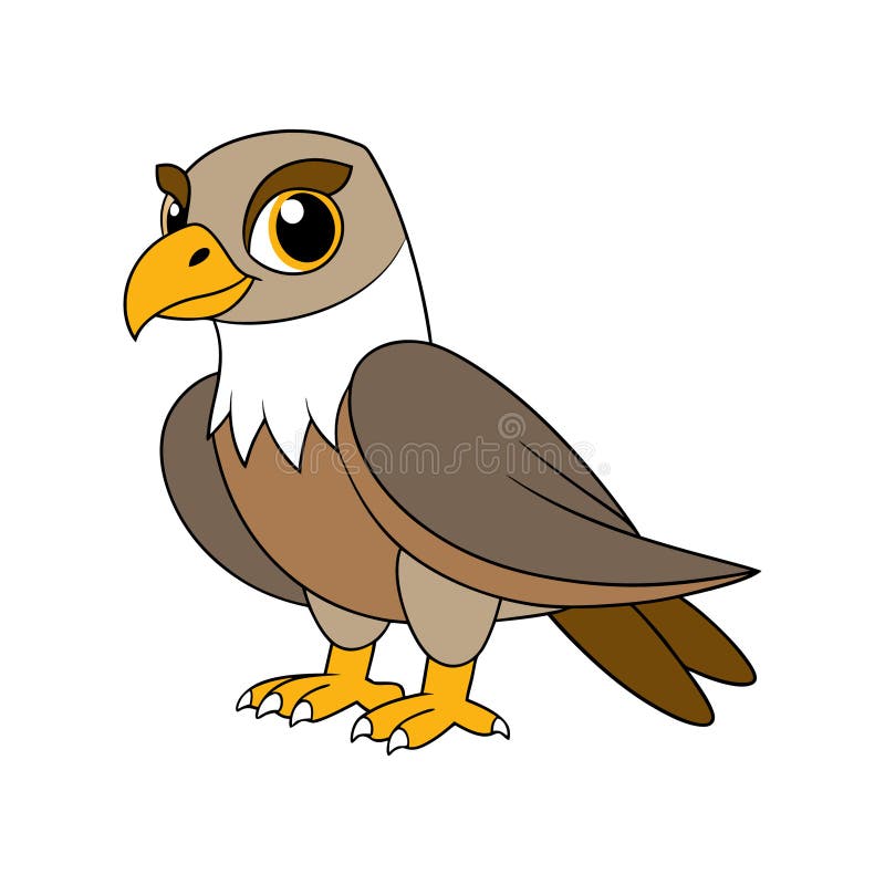 Falcon Coloring Template for Kids Stock Illustration - Illustration of ...