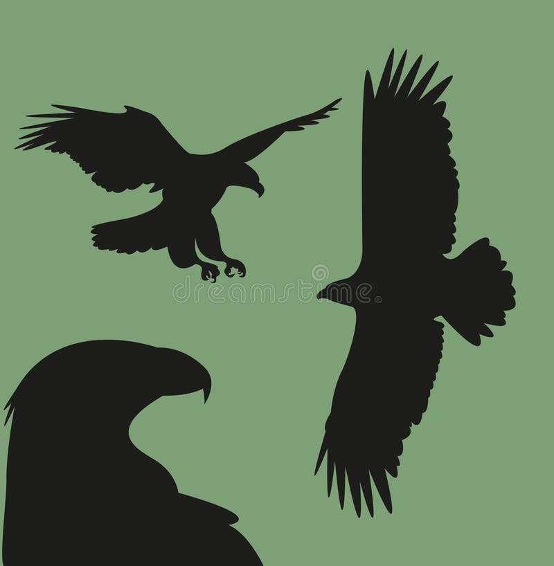 Falcon icon stock vector. Illustration of text, falcon - 296070861