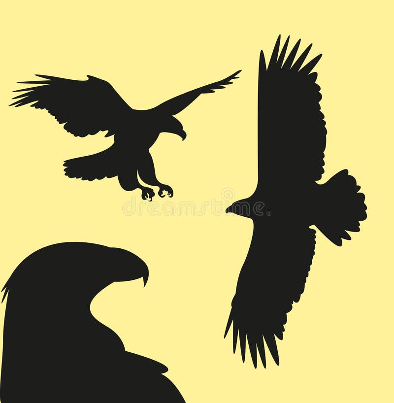 Falcon icon stock vector. Illustration of brand, goshawk - 296070866