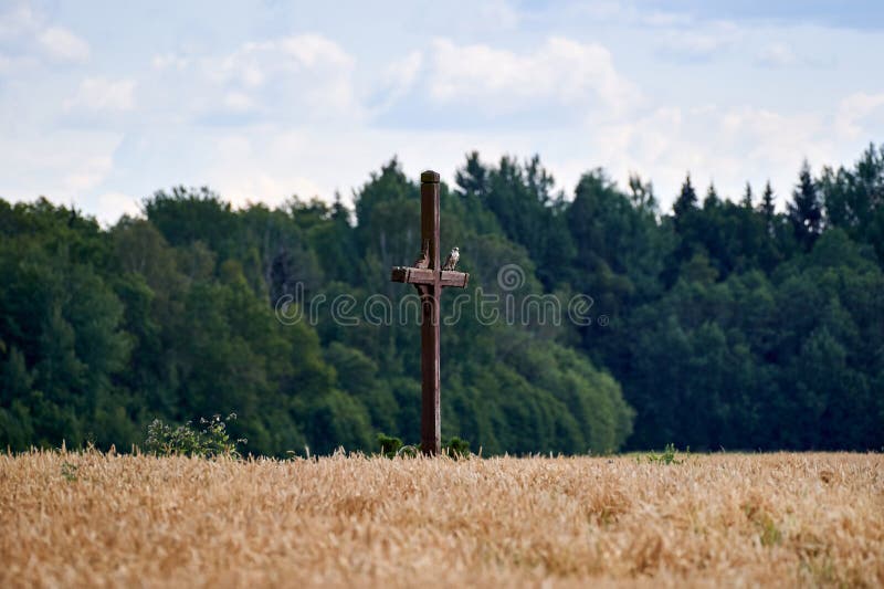 Falcon Lands on a Cross Near the Forest Stock Photo - Image of east ...