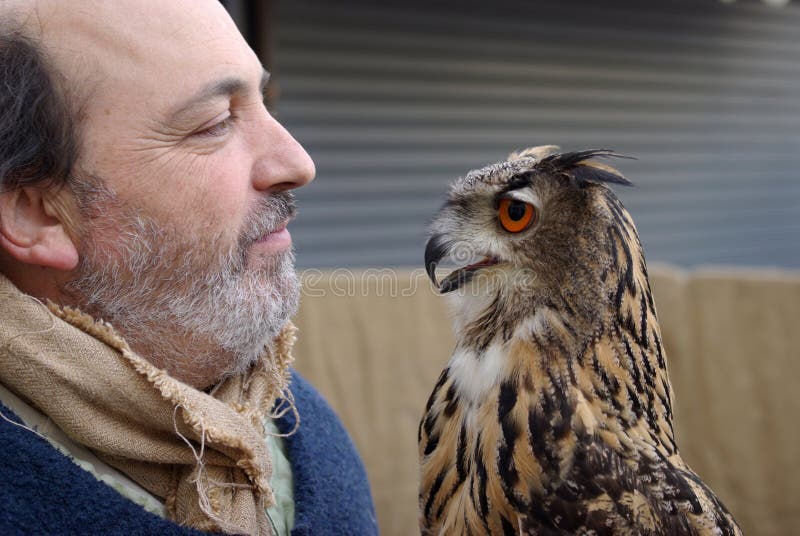 Falconry Display editorial photography. Image of creature - 13506012