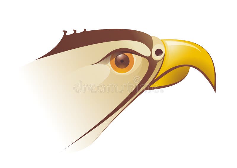 Falconers Stock Illustrations – 49 Falconers Stock Illustrations ...