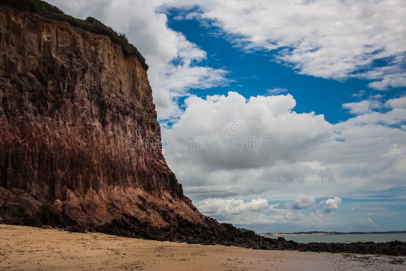 Falecia en el Brasil imagen de archivo. Imagen de tropical - 94421753