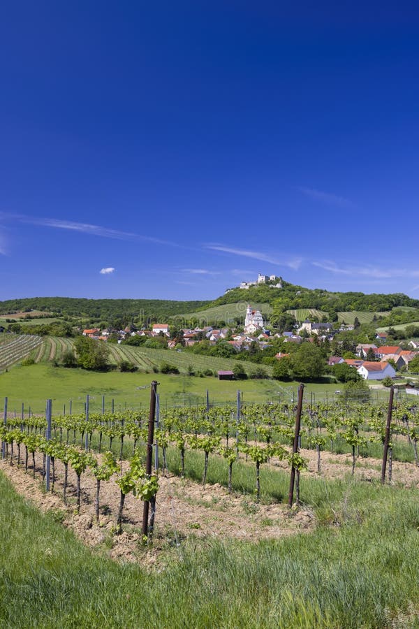 Falkenstein Ruins and Town with Vineyard, Lower Austria, Austria Stock ...