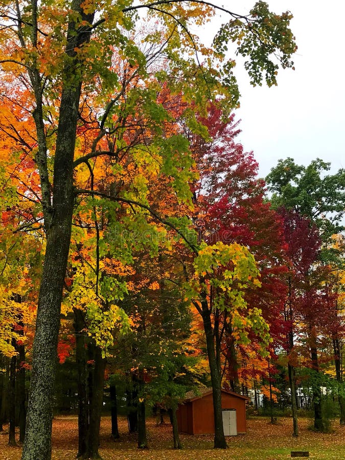 Fall stock photo. Image of trees, days, colors, upnorth - 122610638
