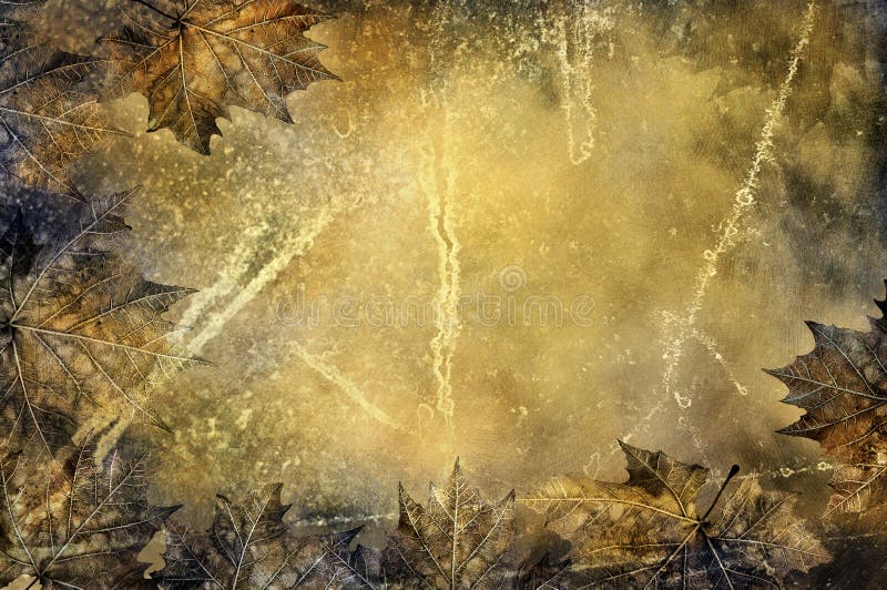 Fall stock photo. Image of frame, leafy, grunge, texture - 18086156
