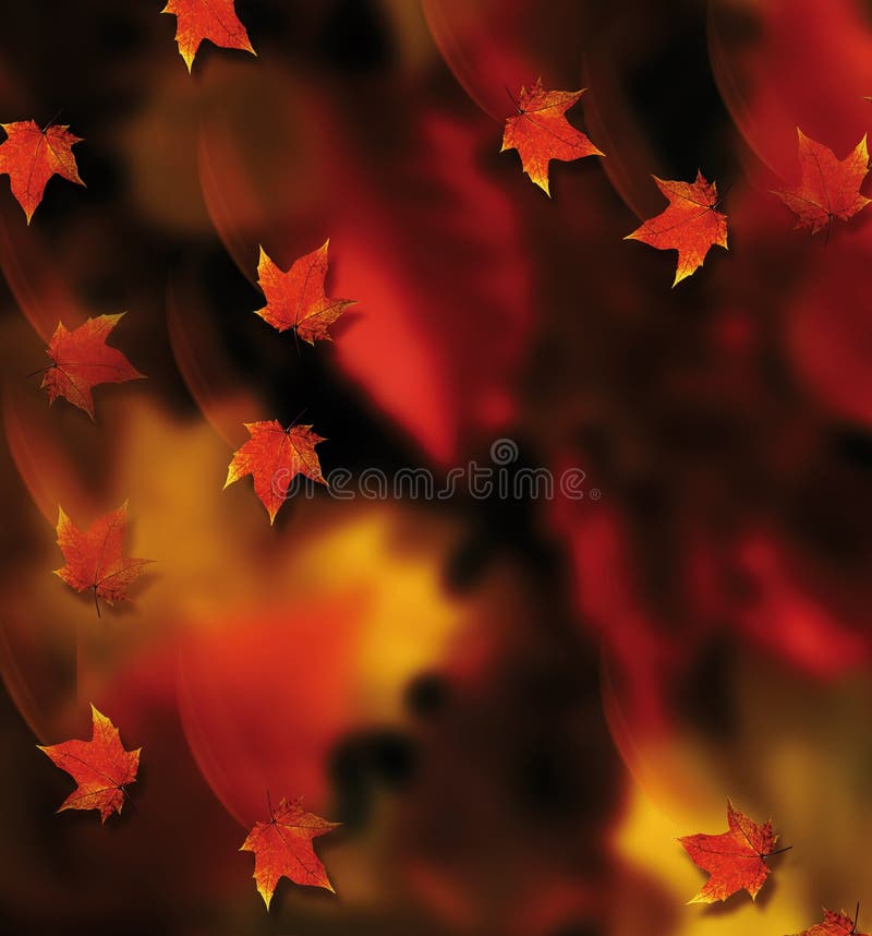 Fall Free Stock Photos & Pictures, Fall Royalty-Free and Public Domain ...
