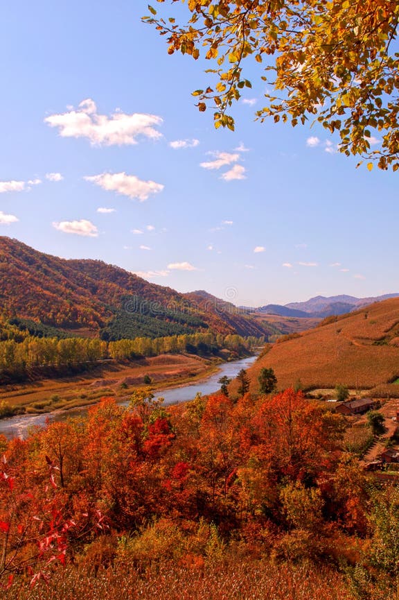 Fall stock photo. Image of leaf, benxi, birch, fall, landscape - 21502500