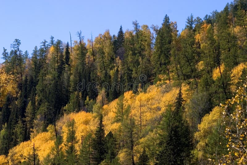 Ohio Pass Fall Vista stock photo. Image of glen, clear - 16503106