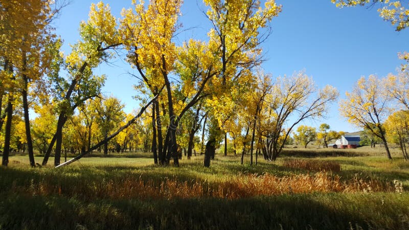 Fall stock image. Image of beautiful, fall, sunset, colors - 83499127