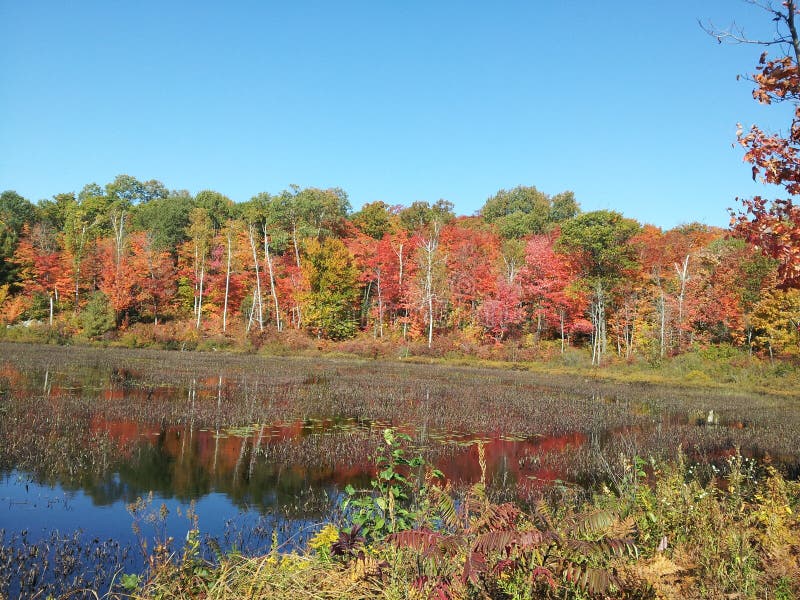 Fall stock photo. Image of colours, autumn, fall, parry - 90329244