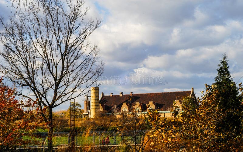 Fall Afternoon in the Park stock photo. Image of shadow - 36744400