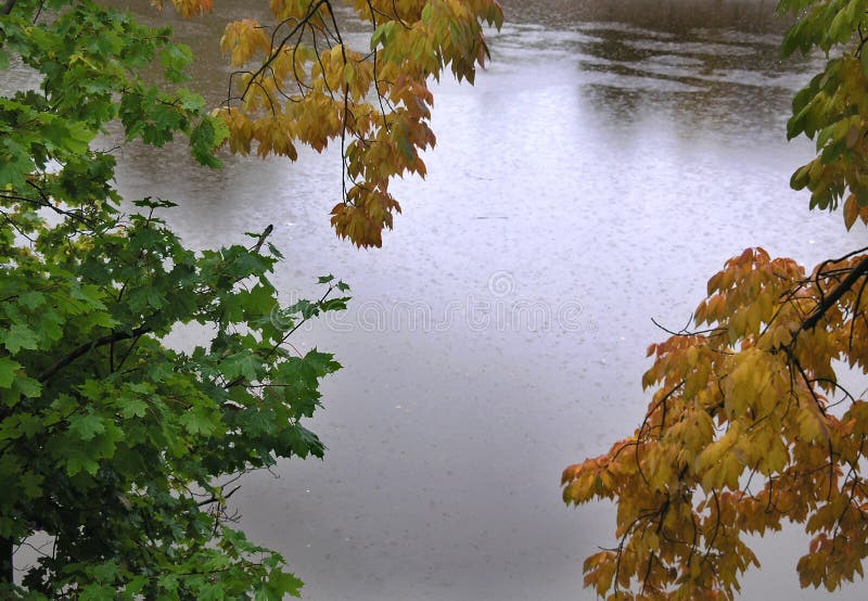 Fall Is In The Air Picture. Image: 1082788