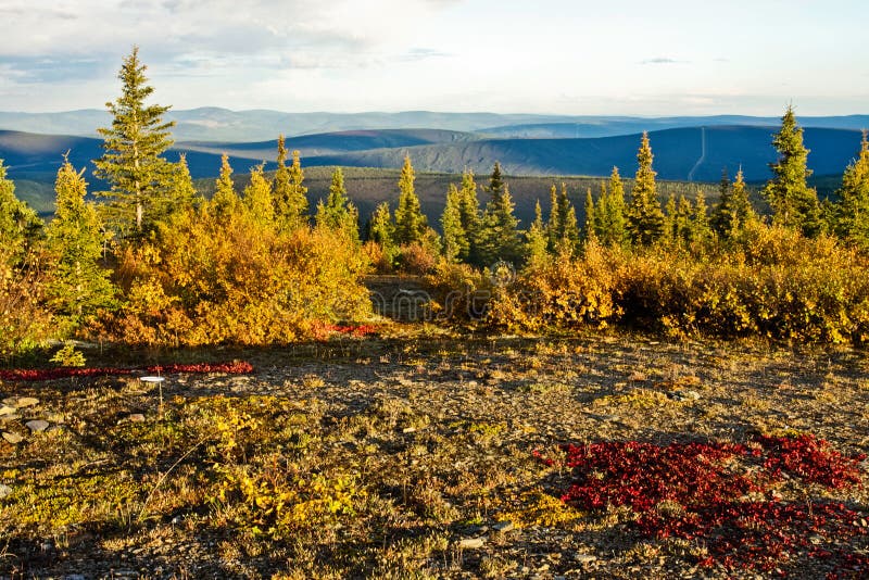 Fairbanks in Fall stock photo. Image of interior, hill - 36214486