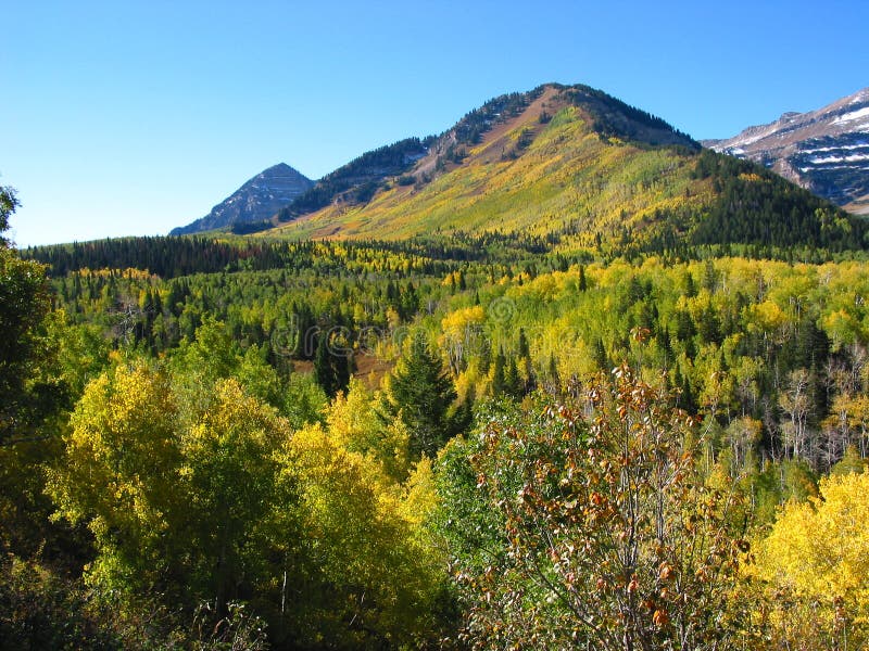 Fall American Fork Canyon Utah Stock Photo - Image of fall, green: 14665892