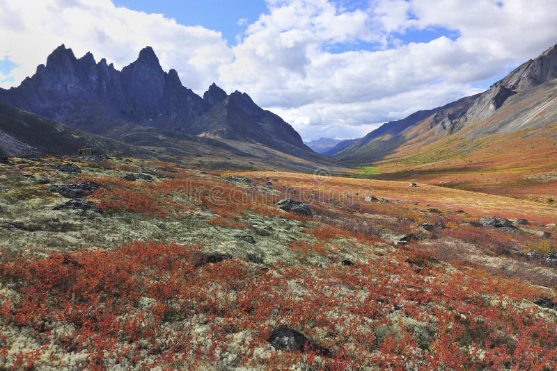 Fall arctic landscape stock image. Image of scenery, tundra - 25295577