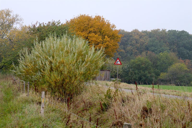 Fall around the corner stock image. Image of trees, corner - 80099023