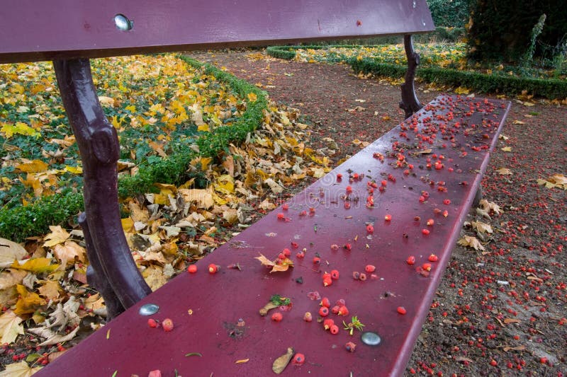 Fall Atmosphere stock image. Image of nostalgic, season - 7289609