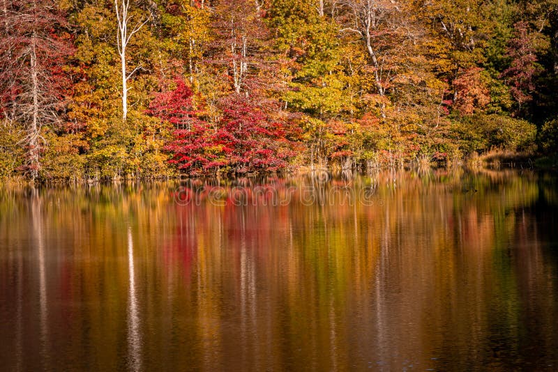 Fall, Autumn.colors Reflect in Mountain Lake in Transylvania County ...