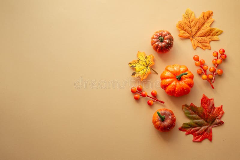 Fall Autumn Flat Lay Background. Pumpkins and Fall Leaves Stock Image ...