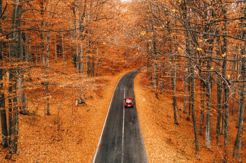 Fall Autumn Forest Road in the Middle of the Forest with Car Pas Stock ...