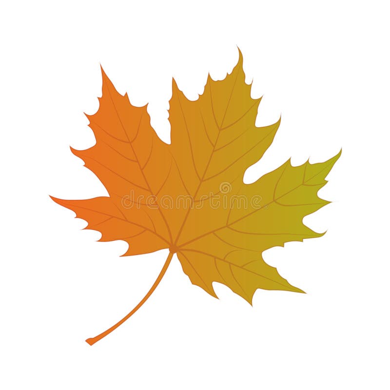 Maple Leaf Vector Icon Illustration Stock Illustrations – 38,904 Maple Leaf Vector Icon ...