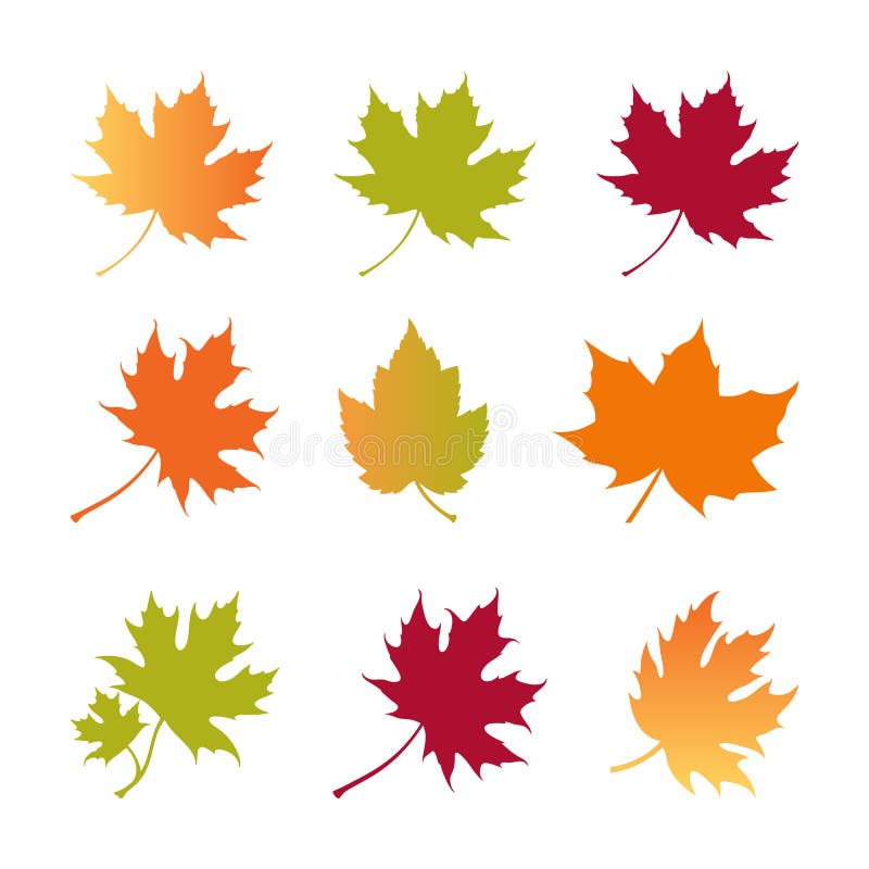 Fall Autumn Leaves Icon Creative Layout, Set of Maple Leaves Vector ...