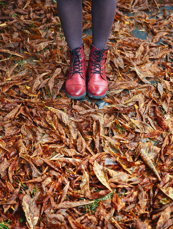 Fall, Autumn, Leaves, Legs and Red Shoes. Stock Image - Image of fall ...