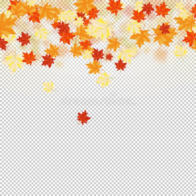 Fall Autumn Maple Background Stock Vector - Illustration of green ...