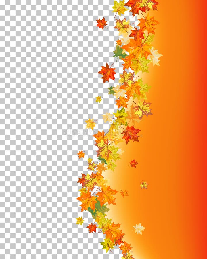 Fall Autumn Maple Background Stock Vector - Illustration of blank, card ...