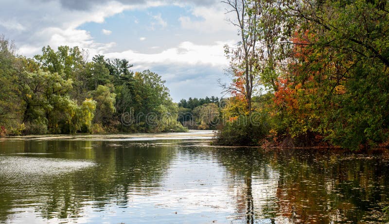 Fall Autumn Portrait Forest Pond Background Stock Photo - Image of leaf ...