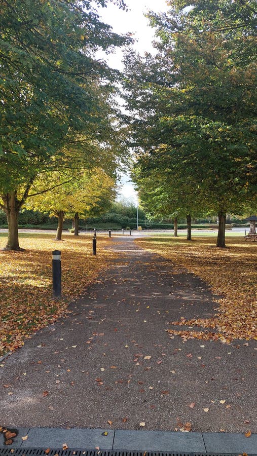 Fall Autumn Tree Park Garden Leaves Empty Path Street Stock Photo ...