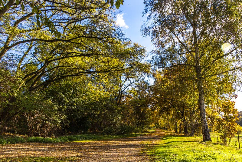 Fall Autumn way to walk stock image. Image of germany - 80477021