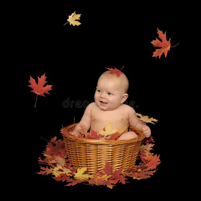 Fall Baby stock image. Image of isolated, baby, adorable - 16883837