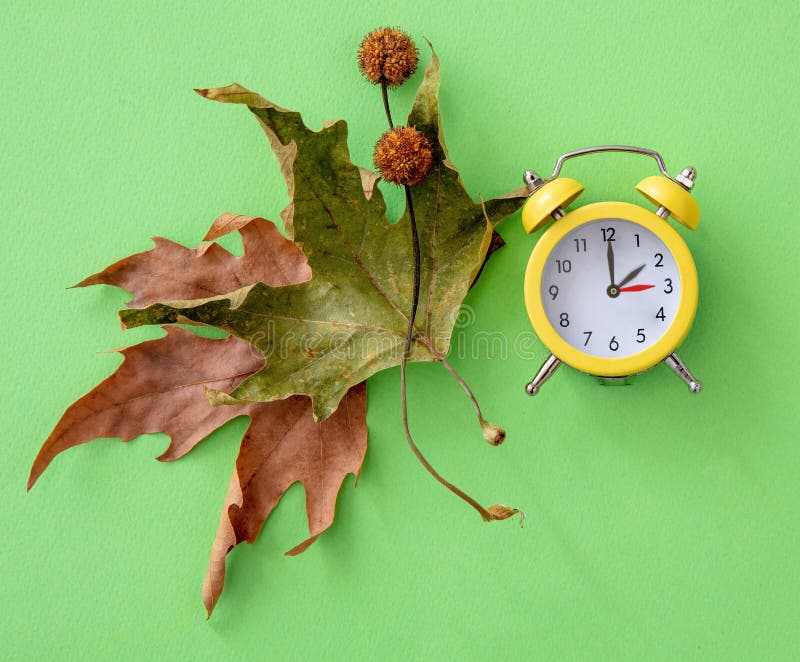 Fall Back, Daylight Saving Time. Yellow Clock and Autumn Leaves on ...