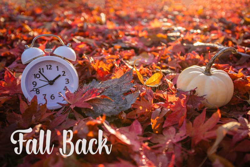Fall Back Daylight Saving Time Concept on Wooden Board Stock Image ...