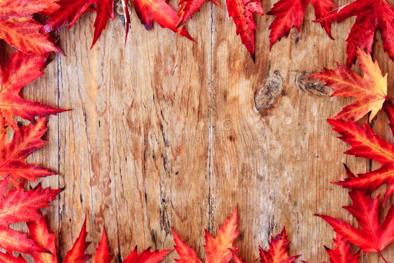 Fall wood background stock photo. Image of nature, grain - 21530750
