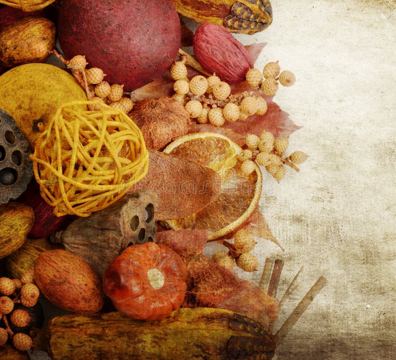 Fall Background stock image. Image of assorted, exotic - 26670639