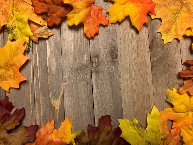 Fall Background border stock photo. Image of fall, orange - 128025602